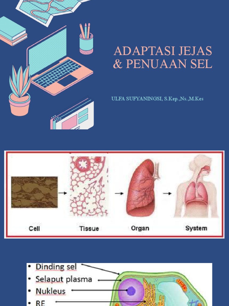 Adaptasi Jejas & Penuaan Sel | PDF