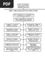 BADAC TEMPLATE - Council Organizational Structure | PDF