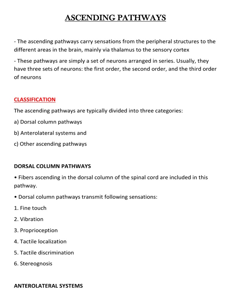 Neurophysiology Study Guide | PDF | Somatosensory System | Neuroscience