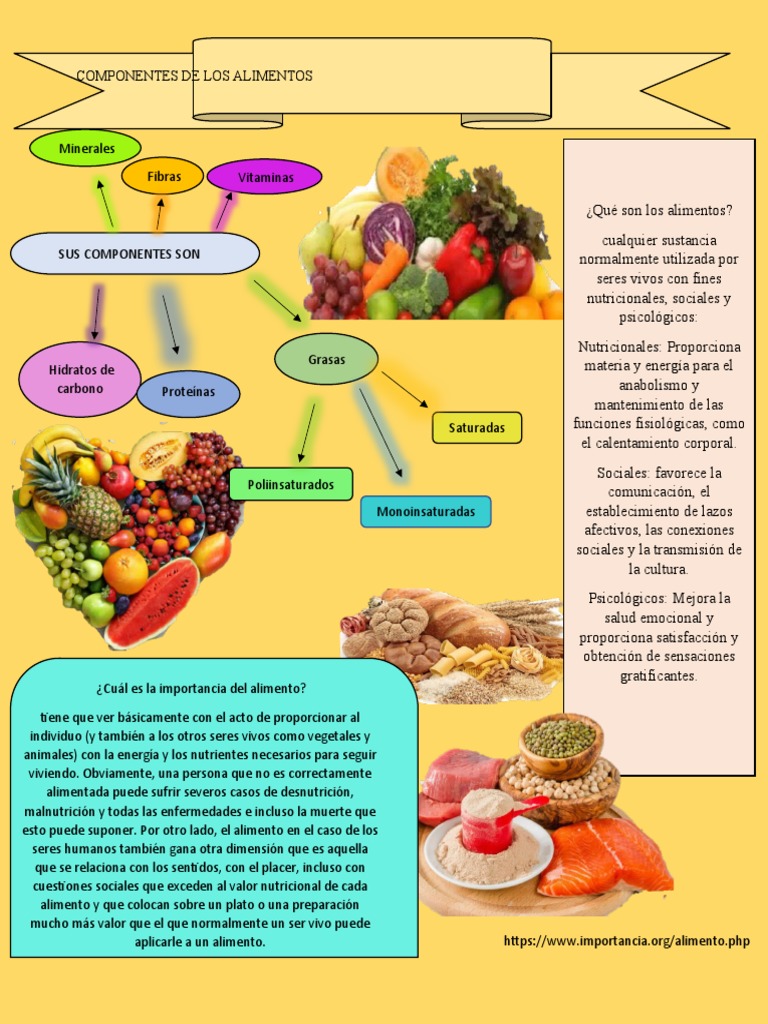 Infografia, Componentes de Los Alimentos | PDF | Alimentos | Nutrición