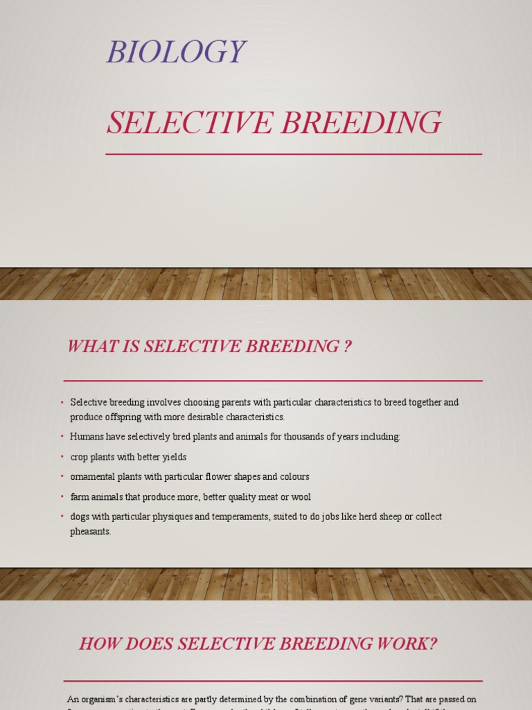 Selective Breeding | PDF | Selective Breeding | Inbreeding