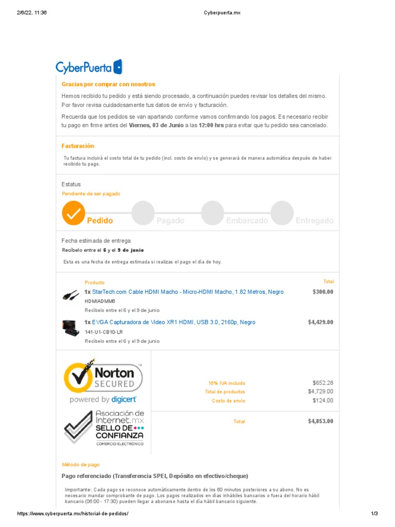 Cotización Cyberpuerta | PDF | Servicios financieros | Bancario