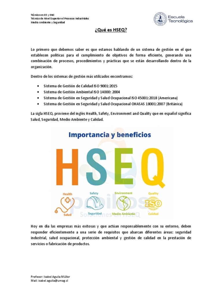 Significado y Función de HSEQ | PDF | Calidad (comercial) | Valores