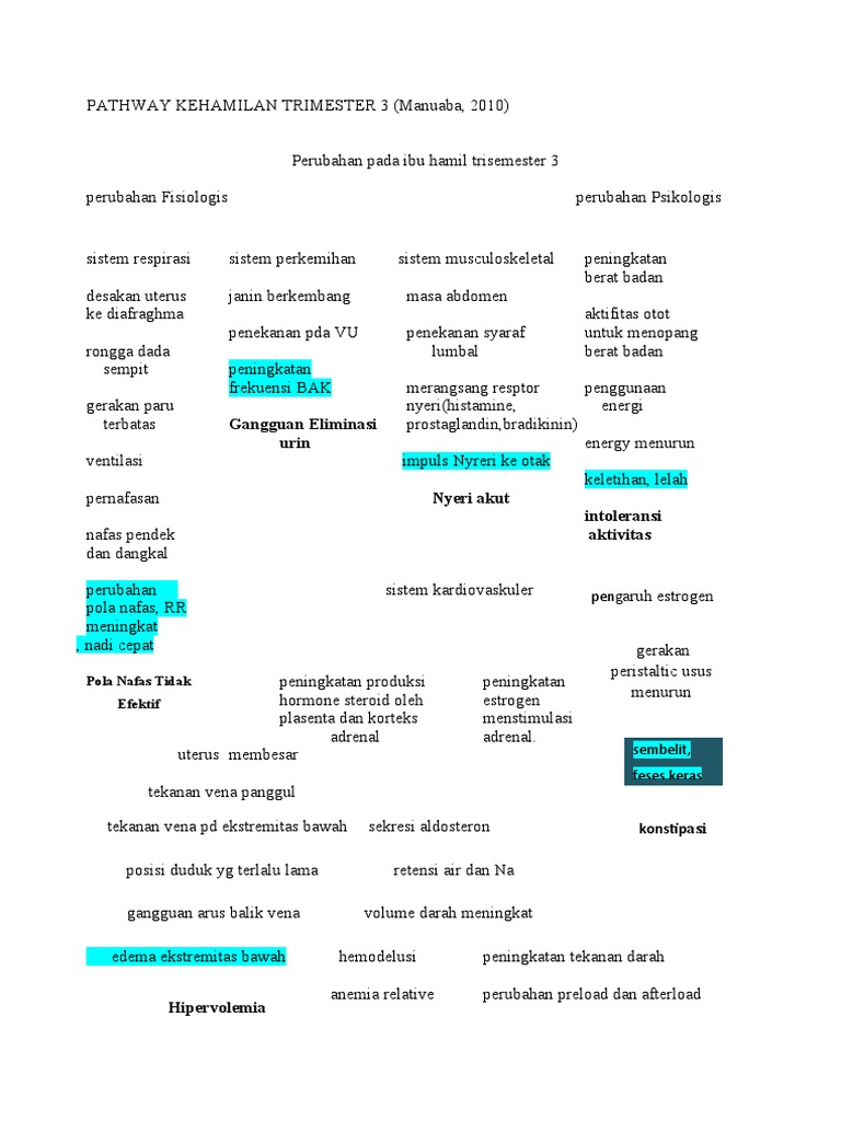 Pathway Kehamilan Trimester 3 | PDF