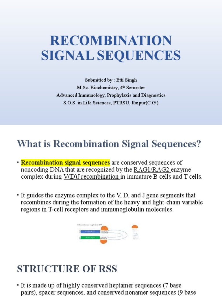 Recombination Signal Sequences | PDF | Molecular Biology | Biotechnology