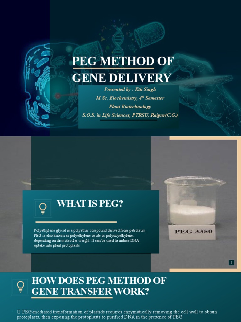Peg Method of Gene Transfer | PDF | Polyethylene Glycol | Physical Sciences