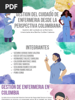 Mapa Teorias de Enfermeria | PDF | Enfermería | Cuidado de la salud