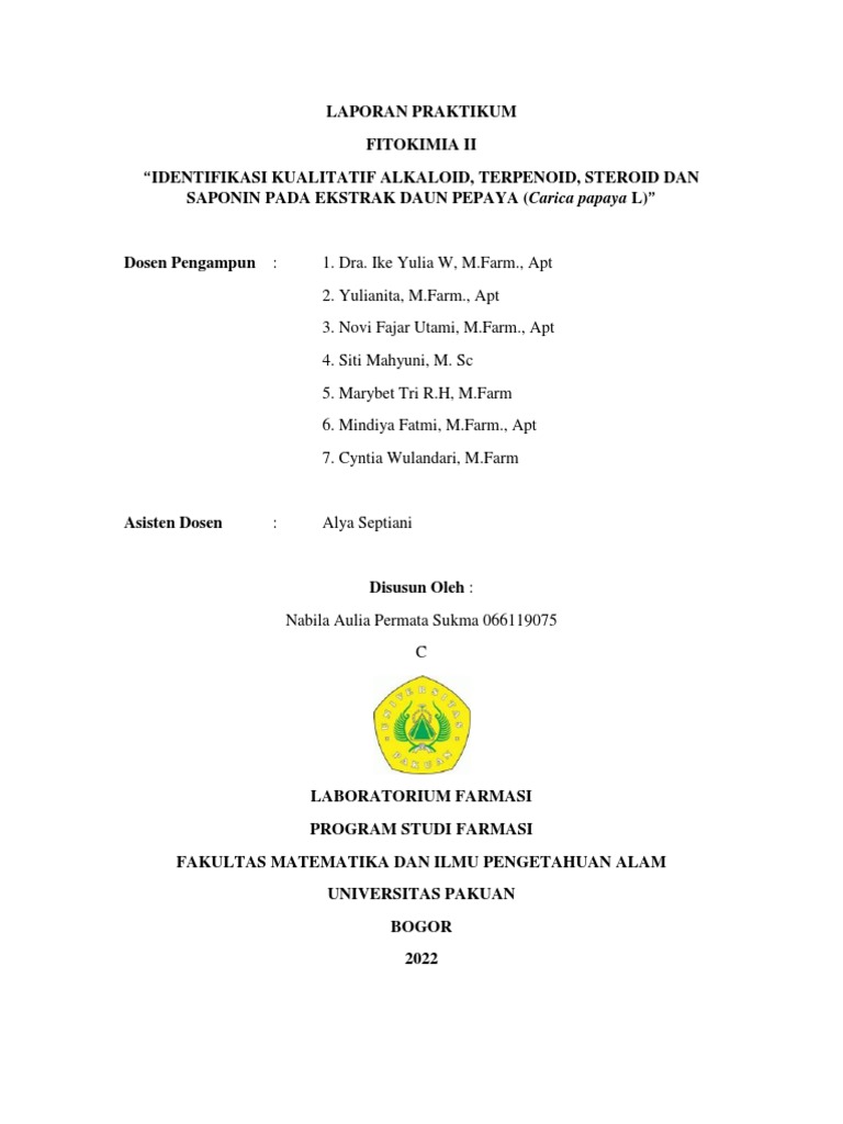 Nabila Aulia - 6 C Farmasi - Laporan Praktikum Offline Pertemuan 1 | PDF