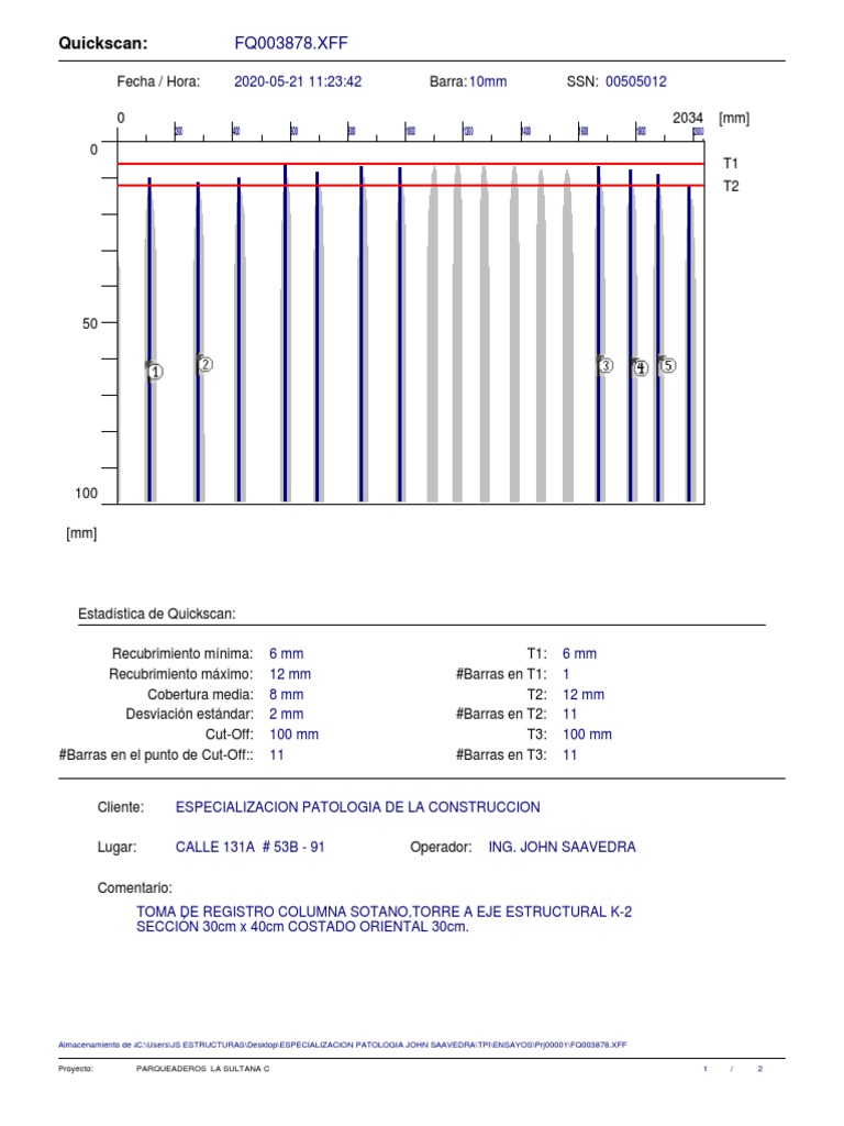 Ensayos Ferroscan | PDF