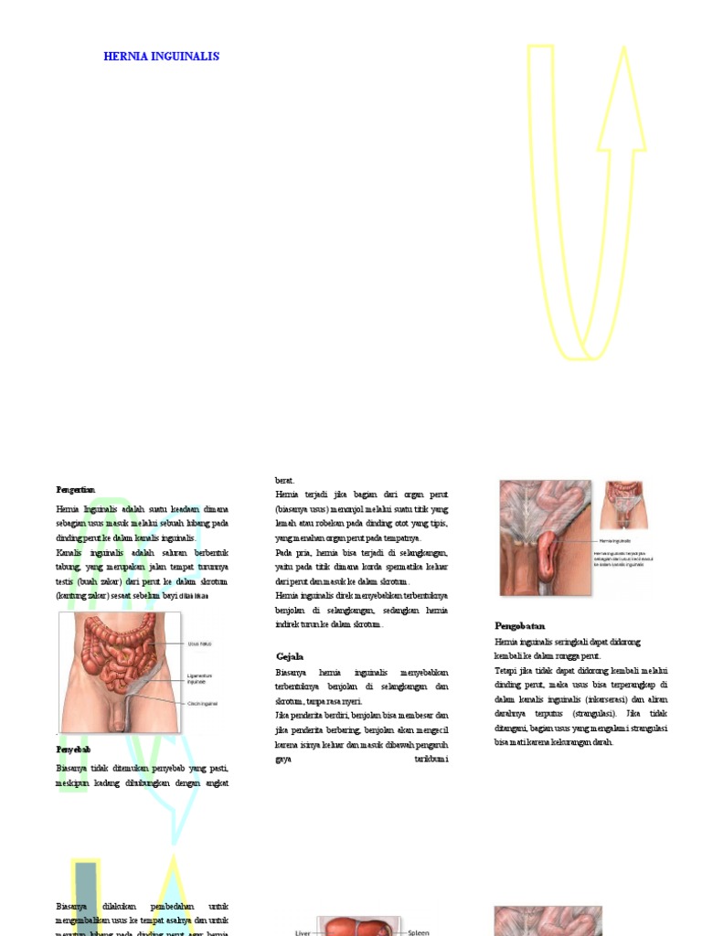Leaflet Hernia | PDF