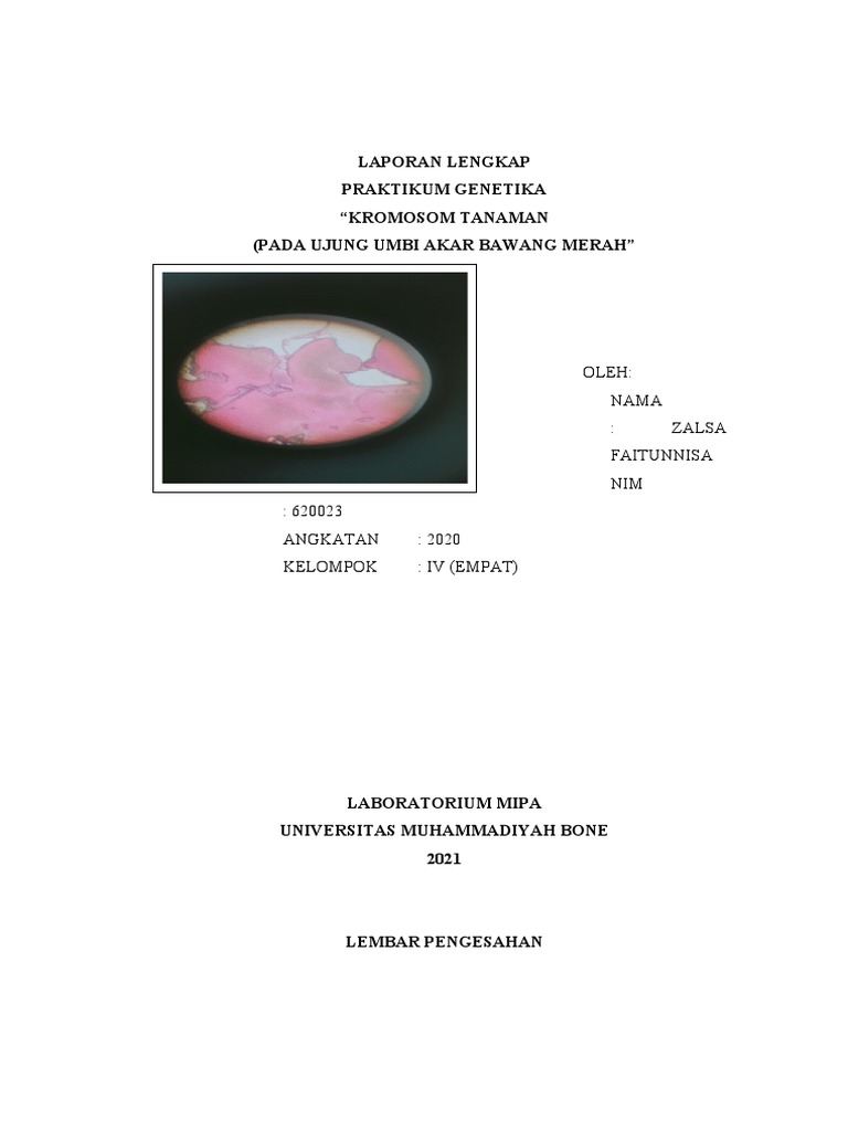 Laporan Akar Tanaman Bawang Merah | PDF