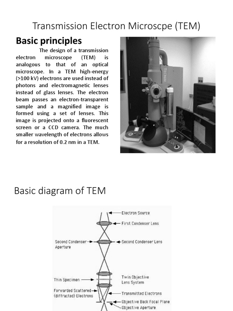 Transmission Electron Microscpe (TEM) : Basic Principles | Download ...