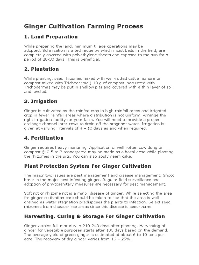 Ginger Cultivation Farming Process | PDF | Ginger | Tillage