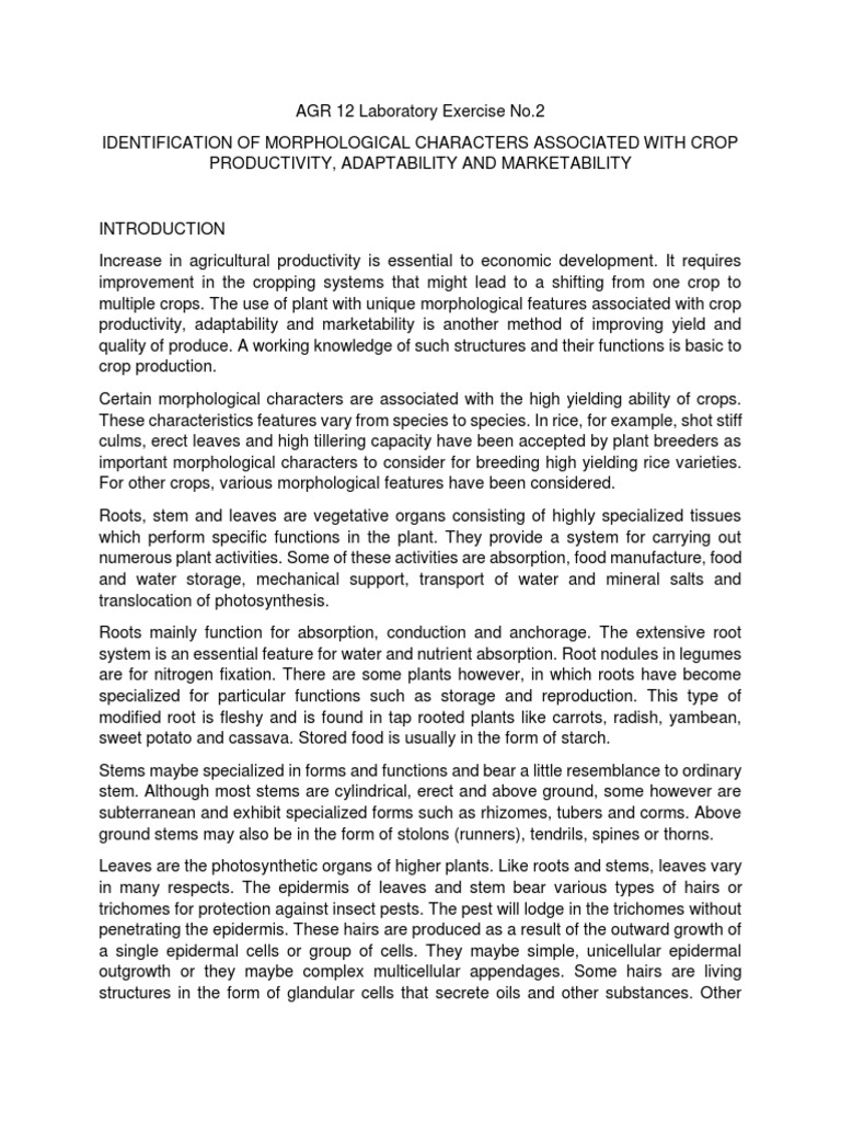 Atienza, Erica Jean (Agr12 Lab2) Bsa1 | PDF | Leaf | Root