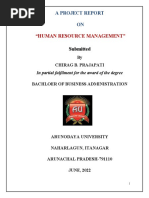 Human Resource Management Project Report | PDF | Human Resource ...