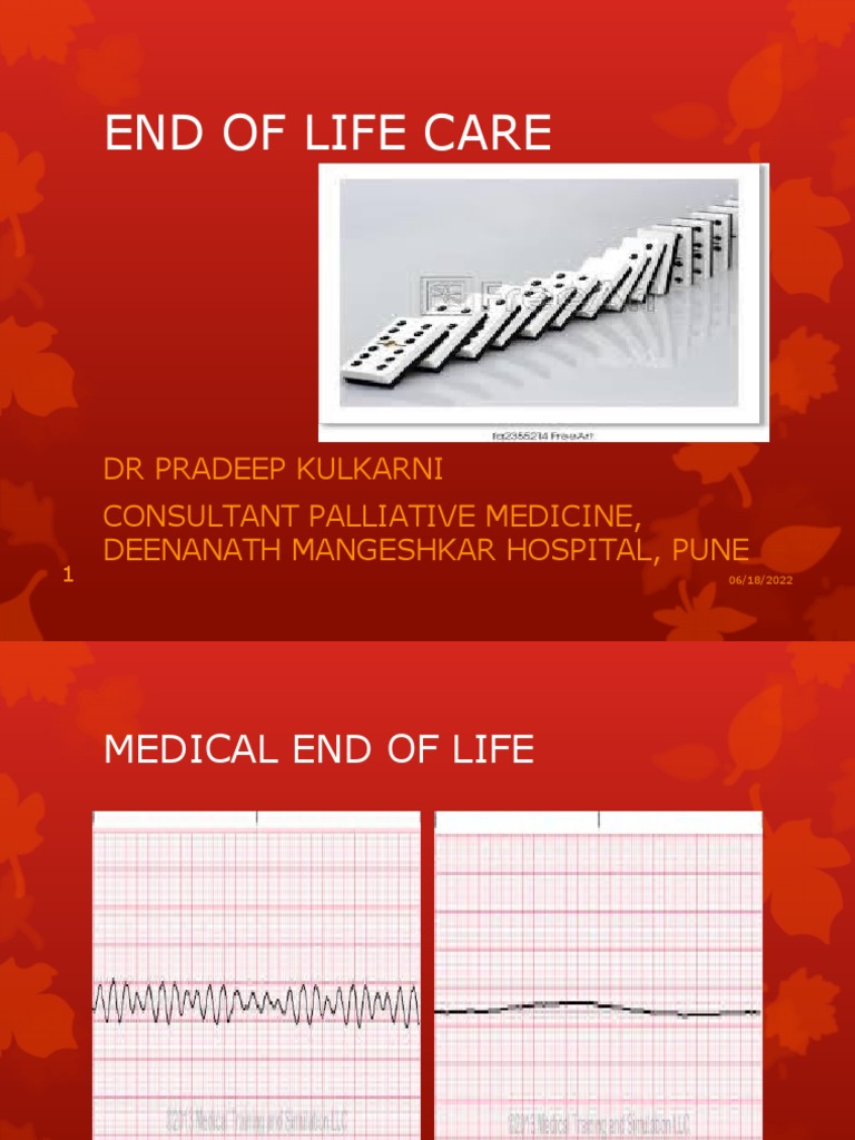 End-of-Life Care Principles and Practices | PDF | End Of Life Care ...