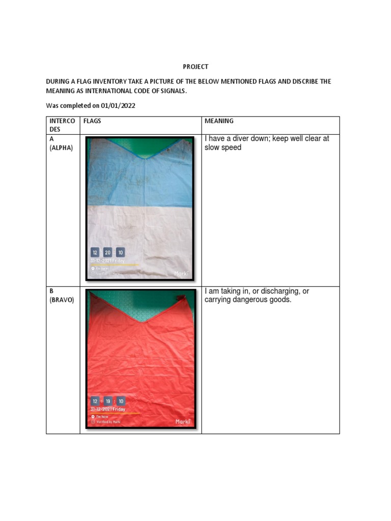 Project On Flag Inventory | PDF