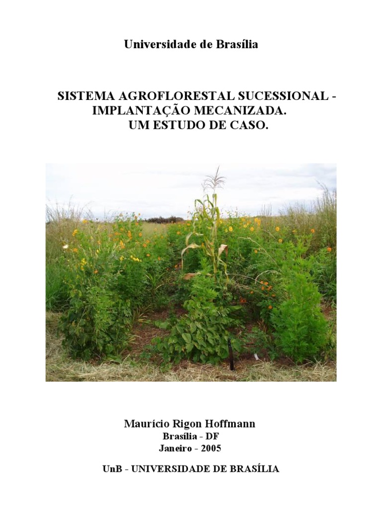 Saf Sucessional Mecanizado Hoffman | PDF | Agricultura | Vida