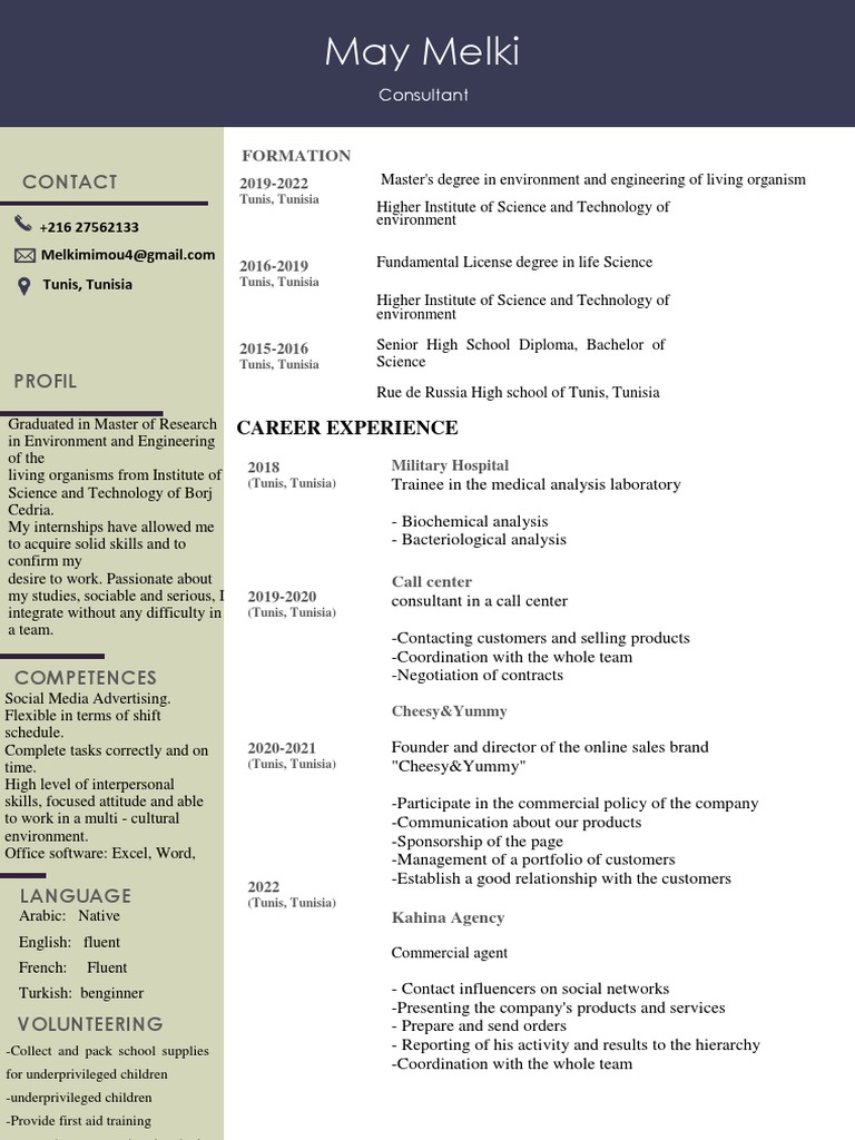 199 Modele CV Luxembourg 97 2003 2 May Melki | PDF | Tunisia ...