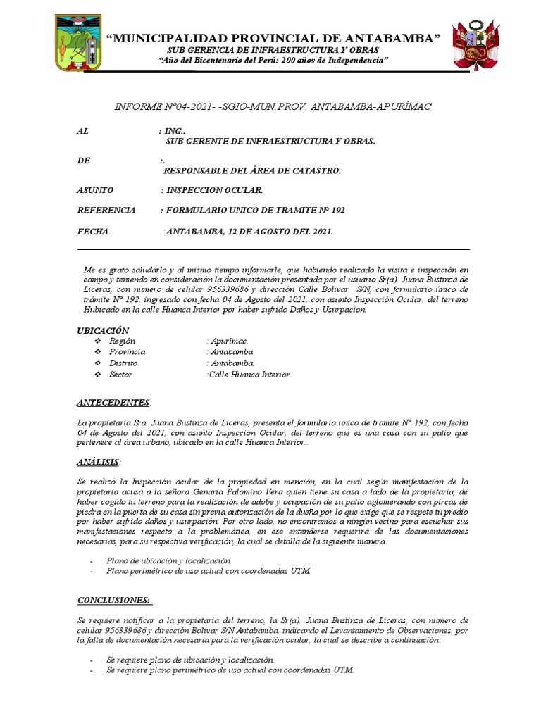 Informe de Inspeccion Ocular | PDF