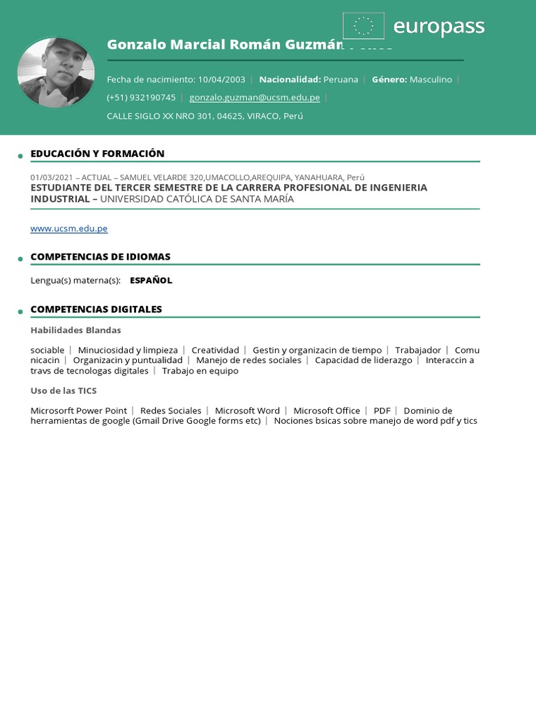 CV Gonzalo Marcial Román Guzmán Ponce - Junio 2022 | PDF