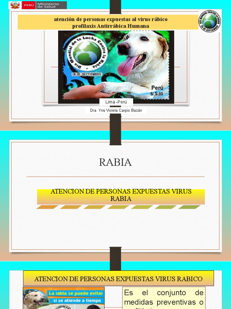 Guía de Profilaxis Antirrábica Humana | PDF | Rabia | Medicina CLINICA