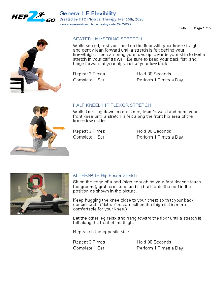 General LE Flexibility: Seated Hamstring Stretch | PDF | Foot | Human Anatomy