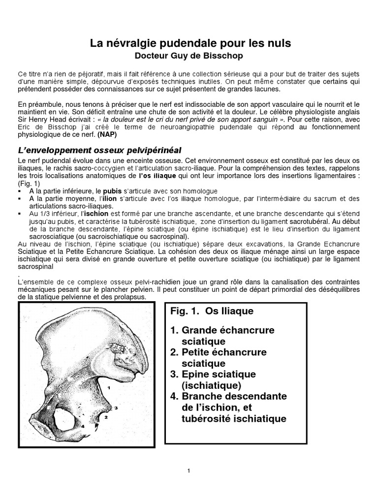 Névralgie pudendale expliquée simplement | PDF | Électromyogramme | Douleur