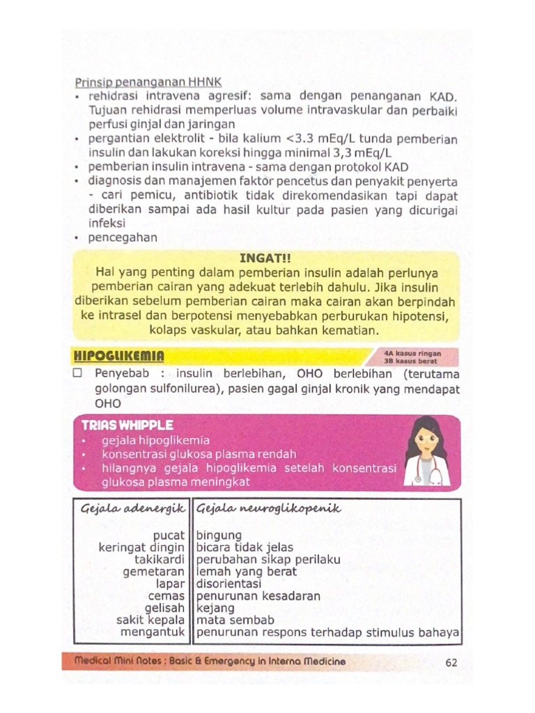 Prinsip Penanganan HHNK | PDF