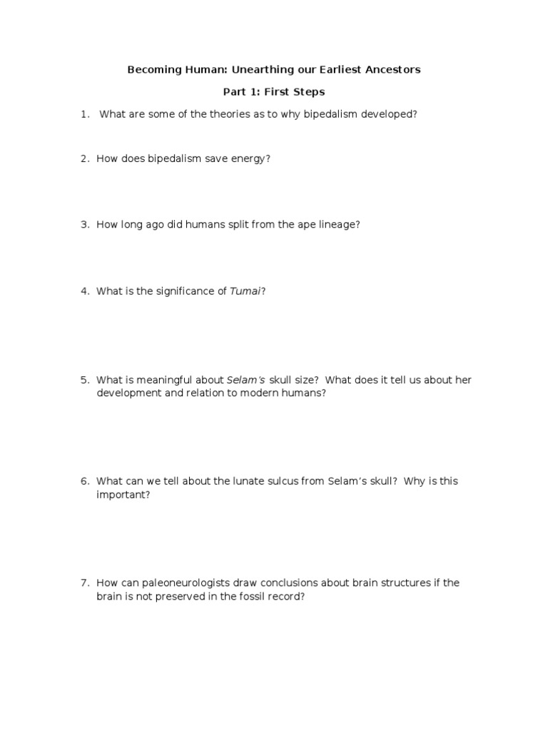 Becoming Human Worksheet | PDF | Human Evolution | Homo