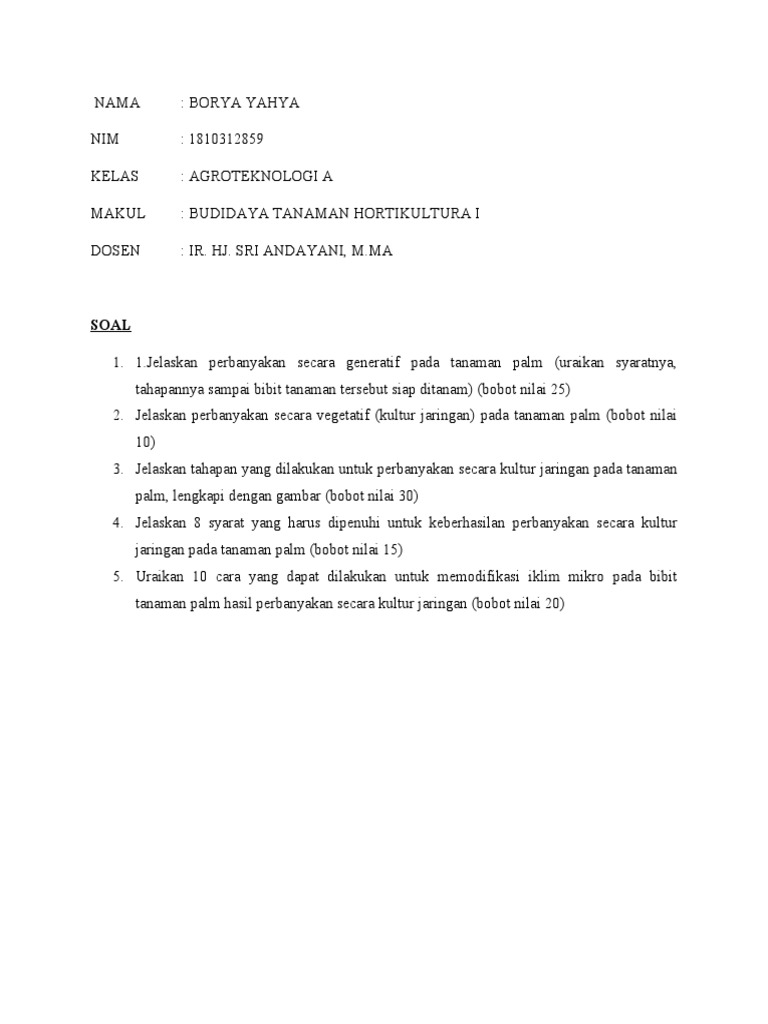 Borya Yahya TBTH | PDF