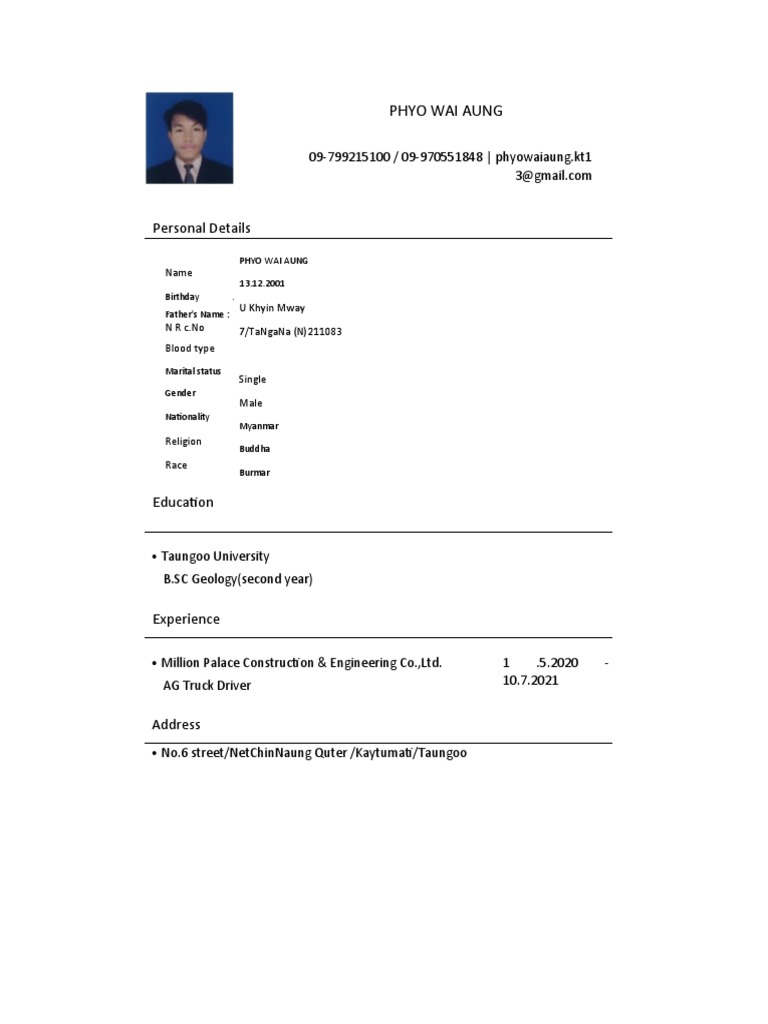 Phyo Wai Aung CV Profile | PDF