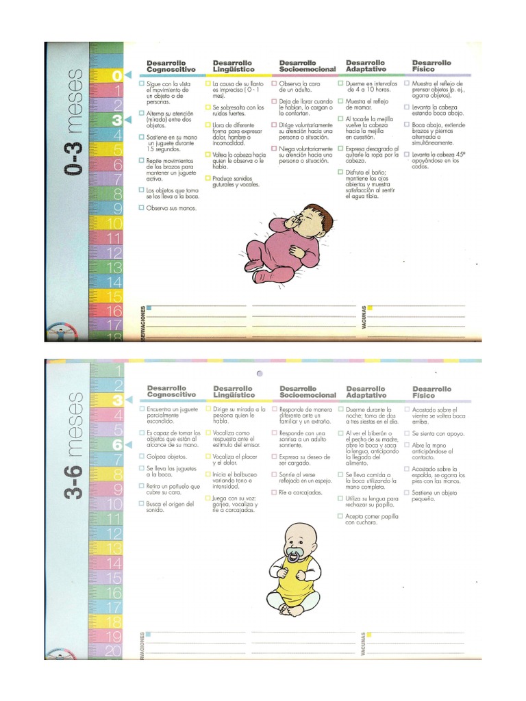 Hitos Del Desarrollo | PDF