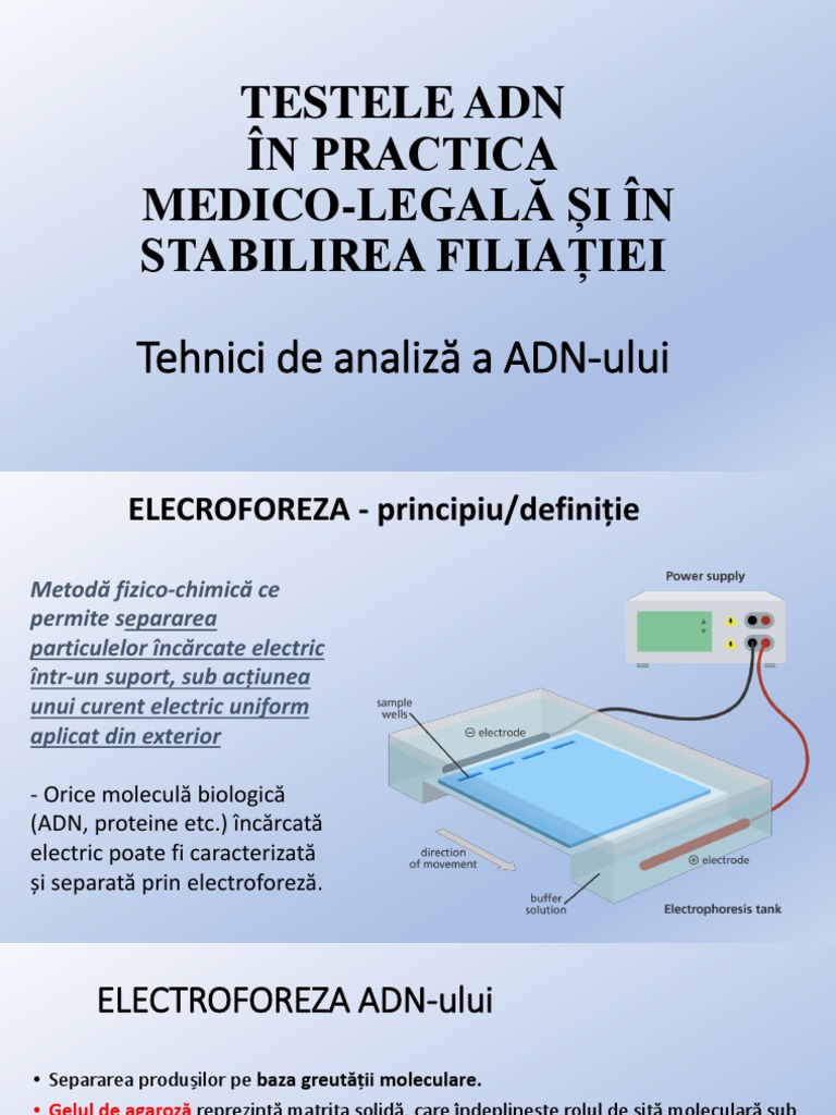 Subiect 23 - Electroforeza ADN-ului | PDF