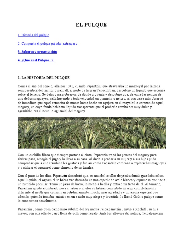 El Pulque | PDF | Bebida | Comida y bebida