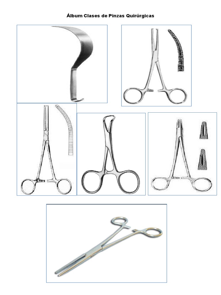 Tipos y Nombres de Pinzas Quirúrgicas | PDF | Arte | Poesía