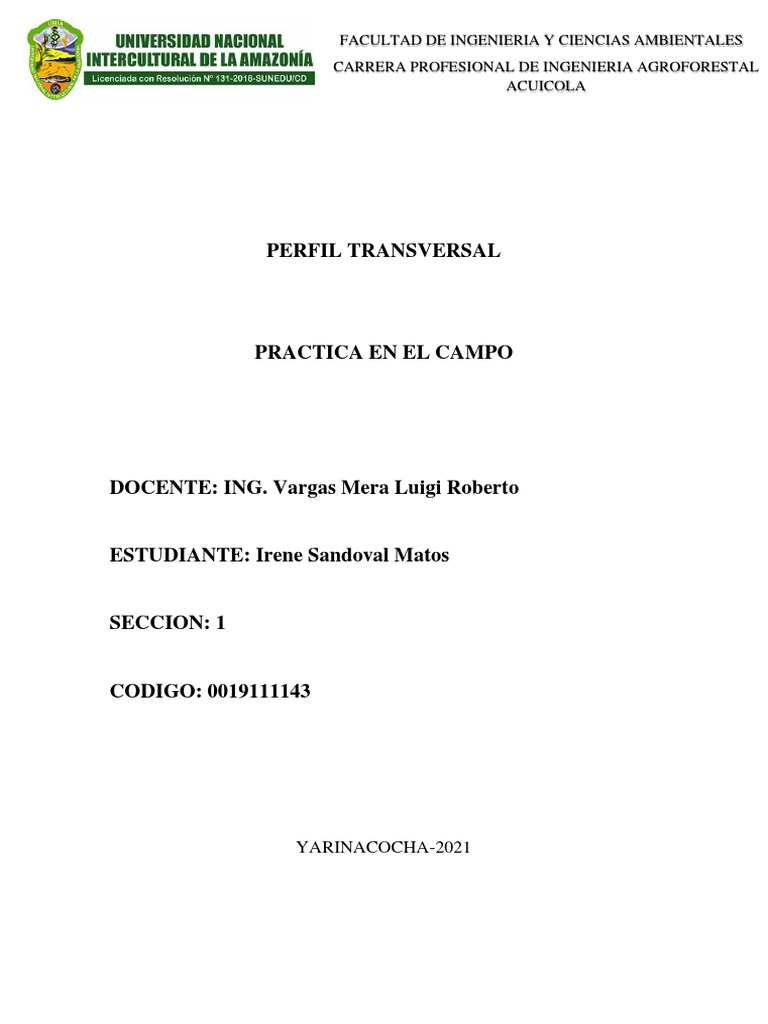 Perfil Transversal Irene Sandoval Matos | PDF | Ingeniería | Topografía