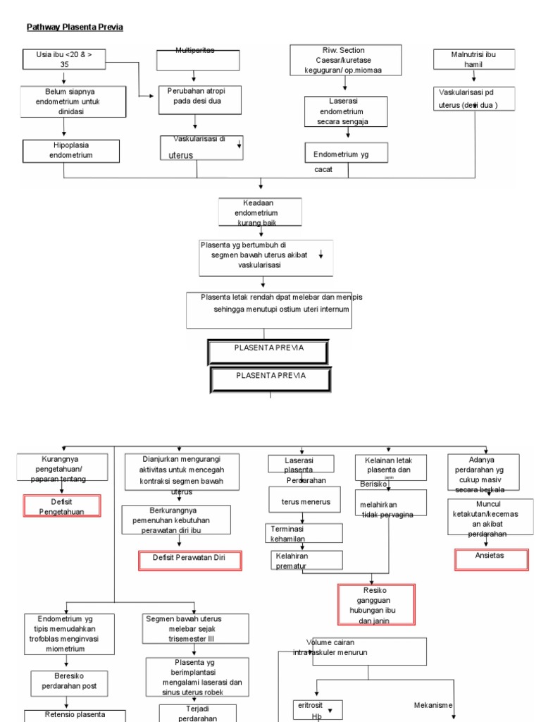 Pathway Plasenta Previa | PDF