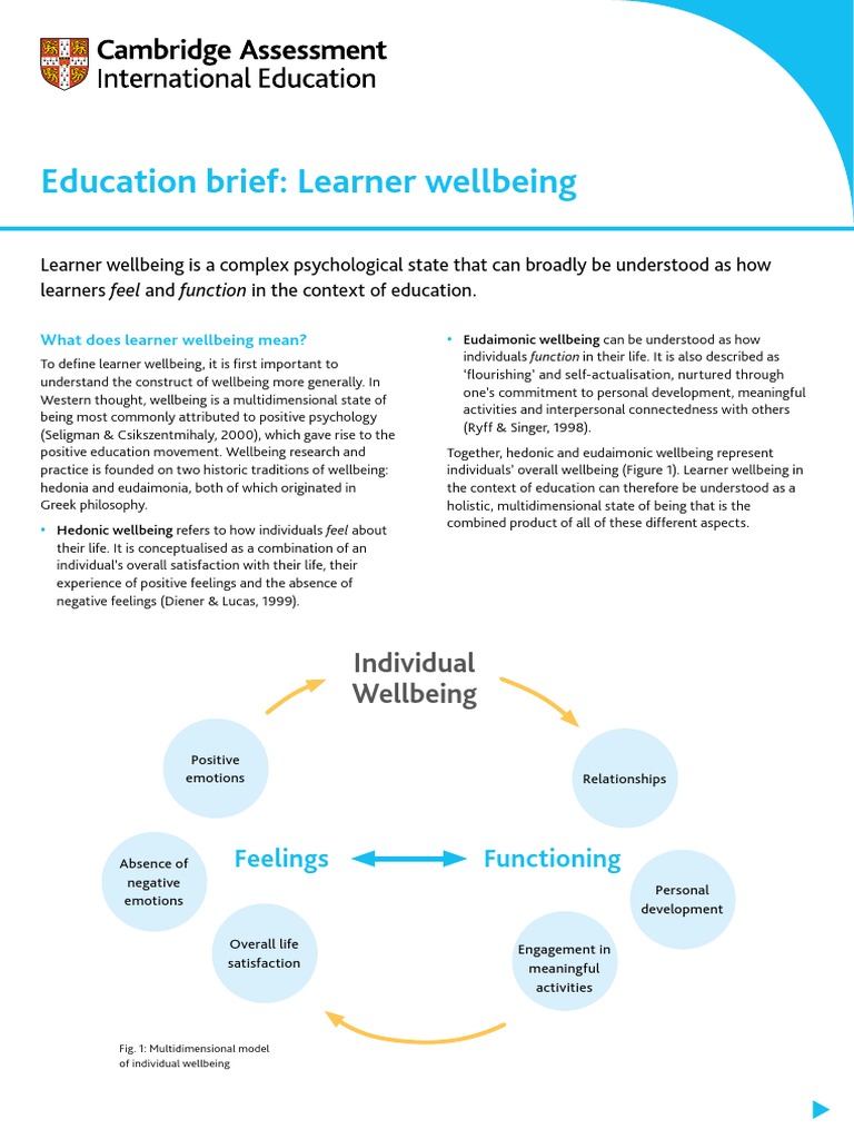 Education Brief: Learner Wellbeing | PDF | Well Being | Mindset