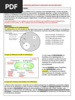 Antibiogramme | PDF | Maladies et troubles | Produits de la biotechnologie