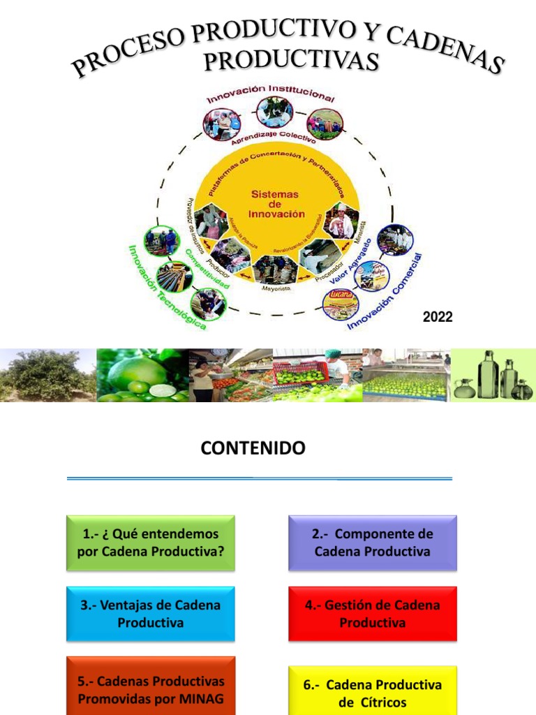 Cap 1 Proceso y Cadenas Productivas | PDF | Mercado (economía ...