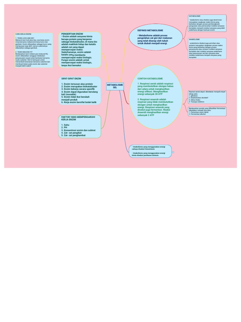Mind Map Biologi - 202182 - 184328 | PDF