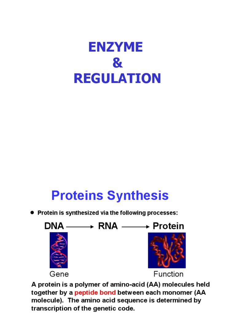 Regulation of Protein Function Through Enzymes, Cofactors and ...