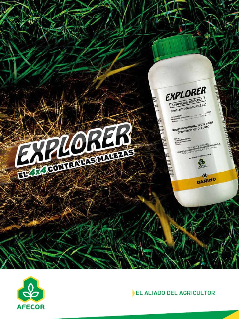 Explorer Flyer | PDF