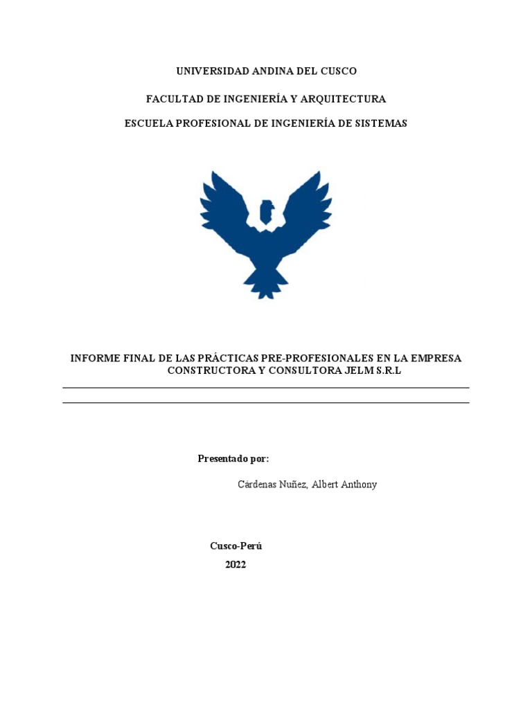 Informe Parcial 1 de PP | PDF | Microsoft Excel | Software