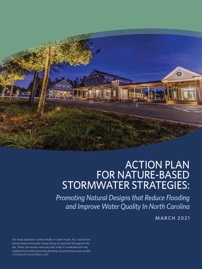 2021 ACTION PLAN FOR NATURE-BASED STORMWATER STRATEGIES Promoting ...