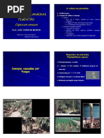 6d21e Bula Fox Xpro Fungicida | PDF | Embalagem e rotulagem | Armazém