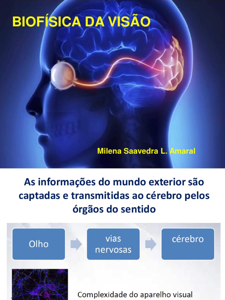 Orgão Sentidos - Visão | PDF | Sistema visual | Olho
