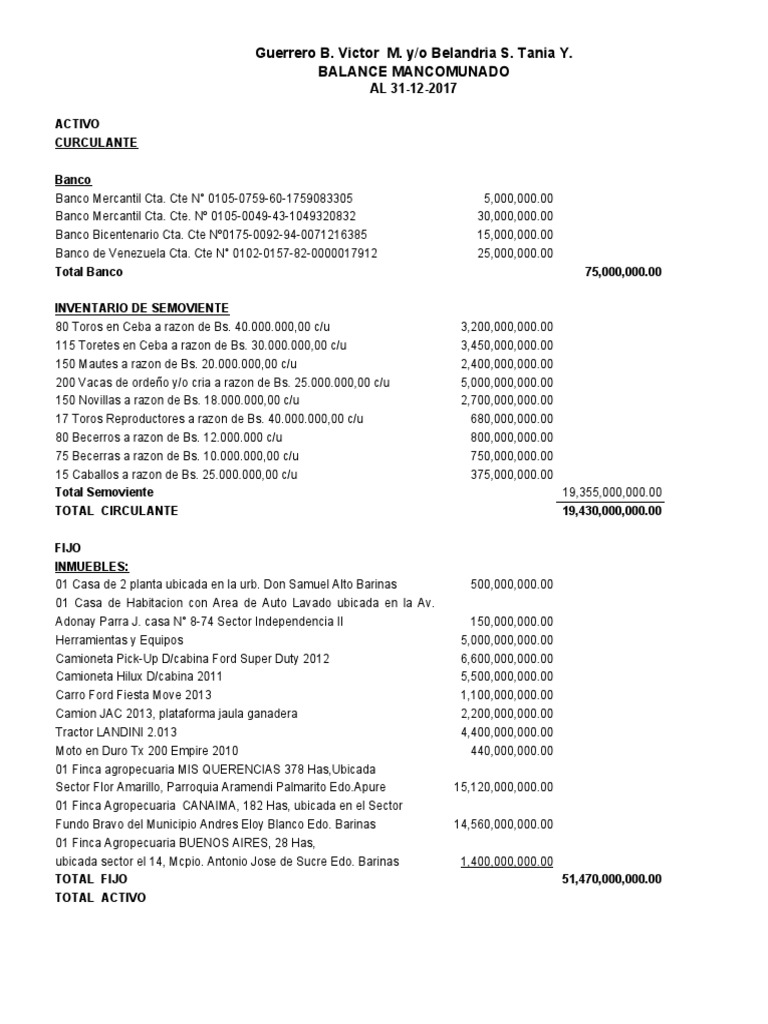 Balance Mancomunado | PDF | Industrias de servicio | Servicios financieros