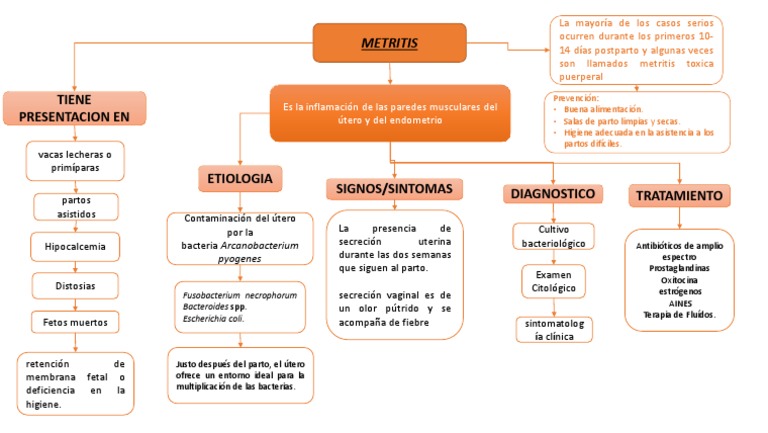 Metritis | PDF | Parto | Cuidado de la salud